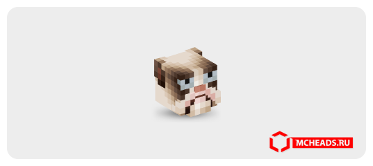 Grumpy Cat — 43651 — Minecraft head