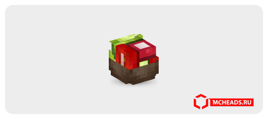 Salad (Radish + Tomato) — Minecraft head