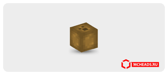 Coconut — 26978 — Minecraft head
