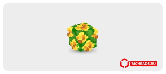 Dandelions — Minecraft head