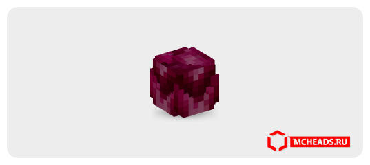 Red Cabbage — Minecraft head