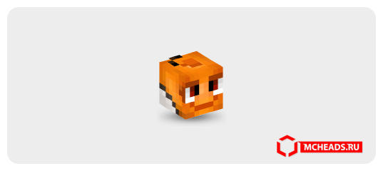 Nemo — 14575 — Minecraft head