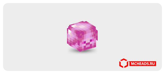 Steve (pink) — Minecraft head
