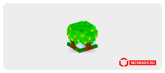 Orange Tree — Minecraft head
