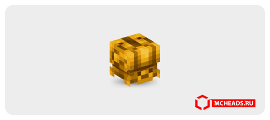 Turtle (Golden) — Minecraft head