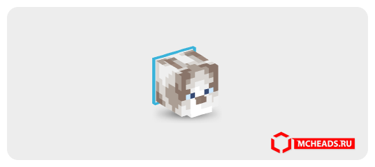 Collared Ragdoll Cat (light blue) — Minecraft head