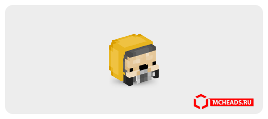 Doge in Hazmat Suit — Minecraft head