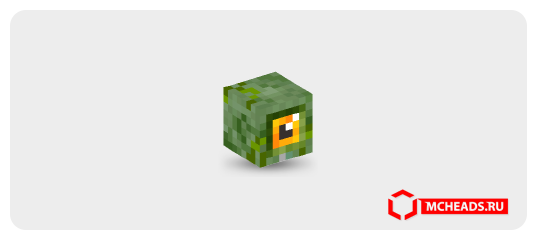 Eye — 12797 — Minecraft head
