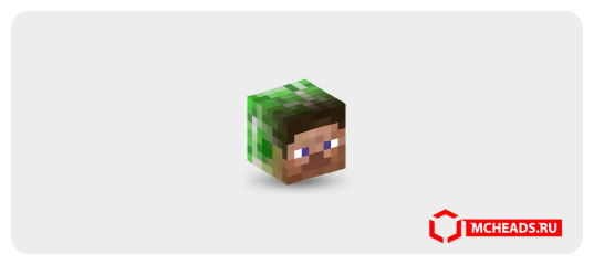 Steve Fused with Creeper — Minecraft head