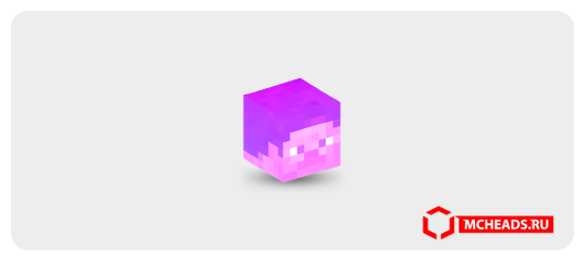 Purple Steve — 81544 — Minecraft head