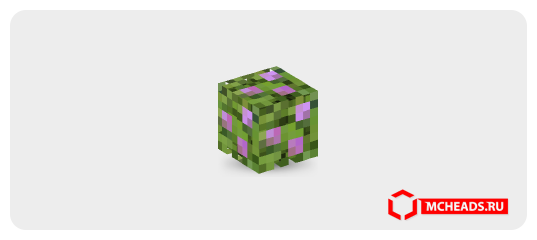 Azalea Tree Leaves — Minecraft head