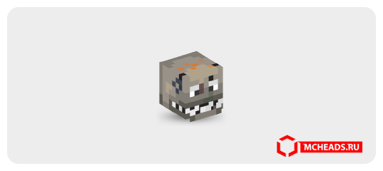 Blank — Minecraft head