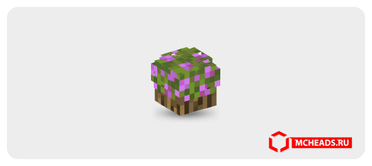 Flowering Azalea — 46923 — Minecraft head