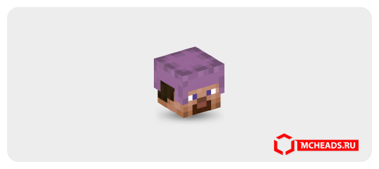 Steve with Shulker Armor — Minecraft head