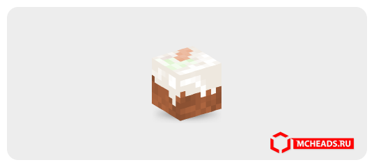 Carrot Cake — Minecraft head