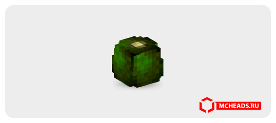 Avocado — Minecraft head
