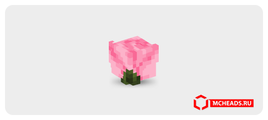 Light Pink Rose — Minecraft head