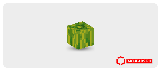 Melon — Minecraft head