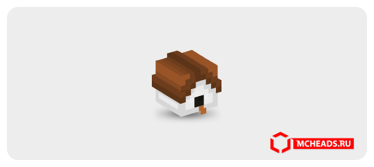Bird House (brown) — 11609 — Minecraft head