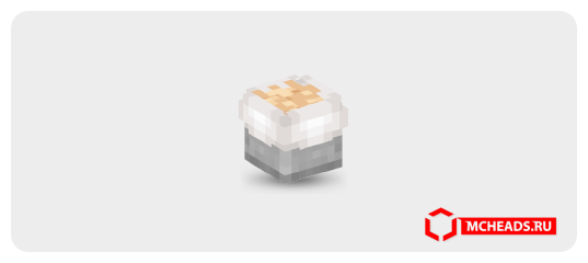 Oatmeal — Minecraft head