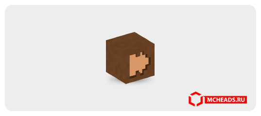 Brown Forward II — Minecraft head