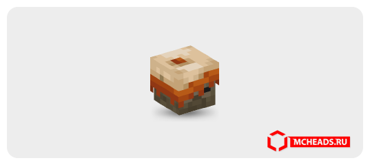 Husk — 41304 — Minecraft head