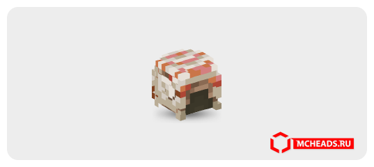 Nautilus Shell — Minecraft head
