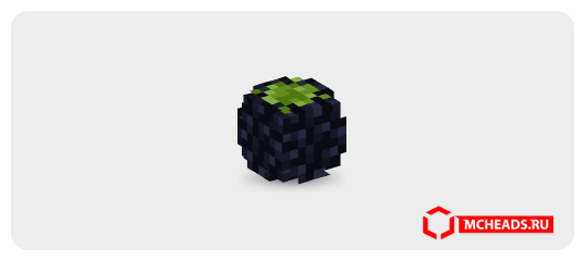 Berry — 40330 — Minecraft head