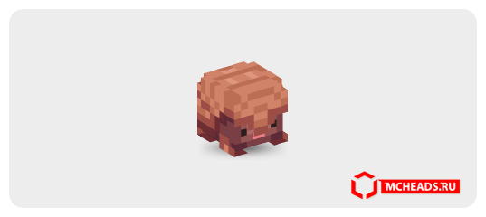 Armadillo — Minecraft head