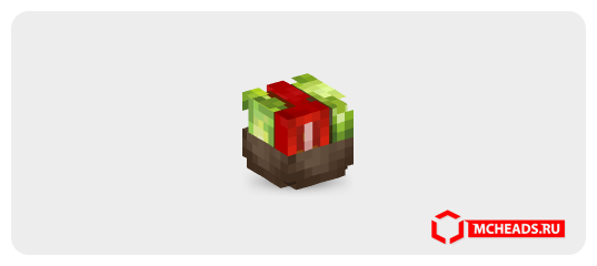 Salad (Tomato) — Minecraft head