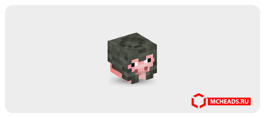 Pig Warrior — Minecraft head