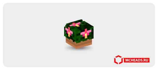 Potted Orchid Plant — Minecraft head