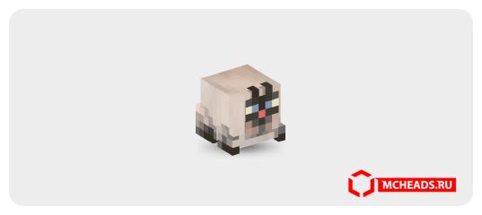 Cat — 4168 — Minecraft head