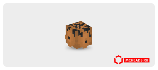 Pecan — Minecraft head