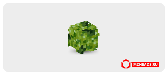 Grapes — 3076 — Minecraft head