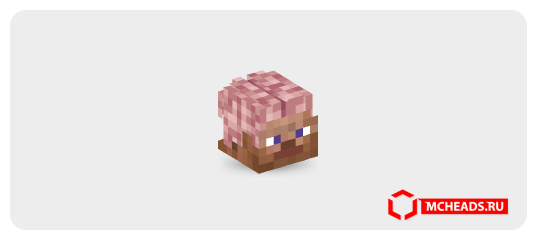 Steve Brain — Minecraft head
