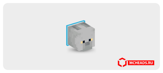 Collared British Shorthair Cat (light blue) — Minecraft head