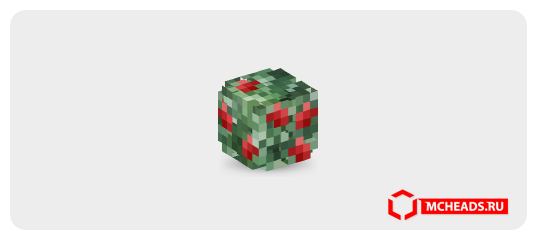 Bush — 2214 — Minecraft head