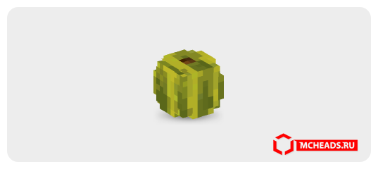 Watermelon — 93778 — Minecraft head