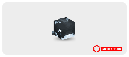 Orca — Minecraft head