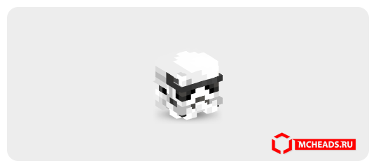 Stormtrooper — 42840 — Minecraft head