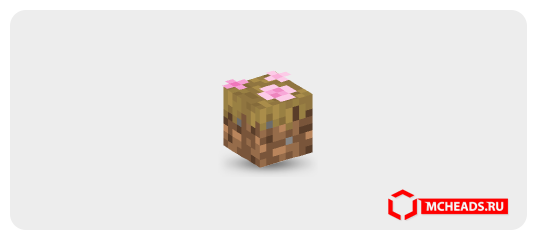 Petals On Dirt Path — Minecraft head