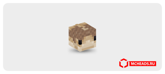 Cod Fish — Minecraft head