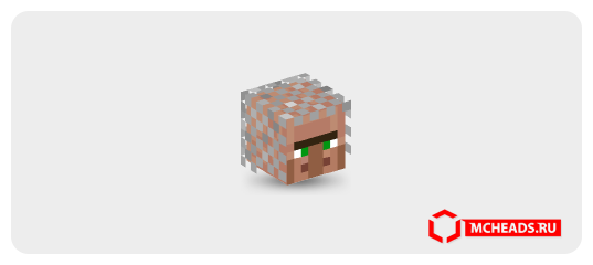 Villager with Chainmail Helmet — Minecraft head