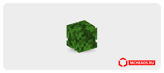 Dark Oak Leaves — Minecraft head