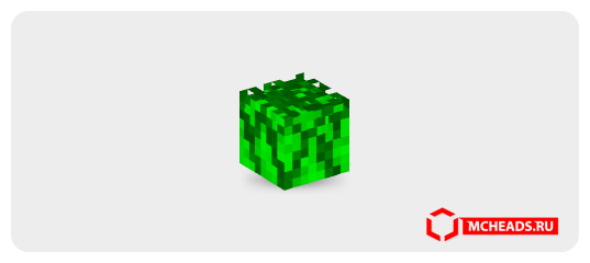 Aloe Vera Plant — Minecraft head