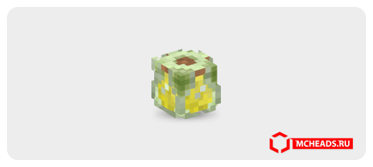 Olive Oil — Minecraft head
