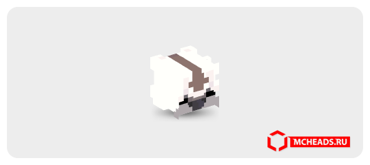 Appa — 63387 — Minecraft head