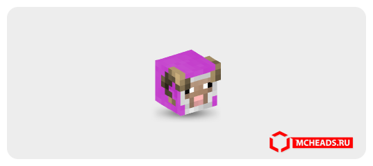 Aries (magenta) — Minecraft head