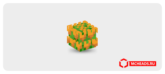 Orange Tulips — Minecraft head